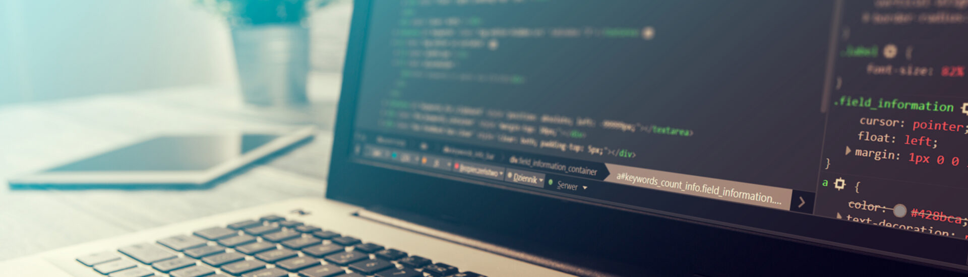 Programmeur Web recherché - Lotus Marketing